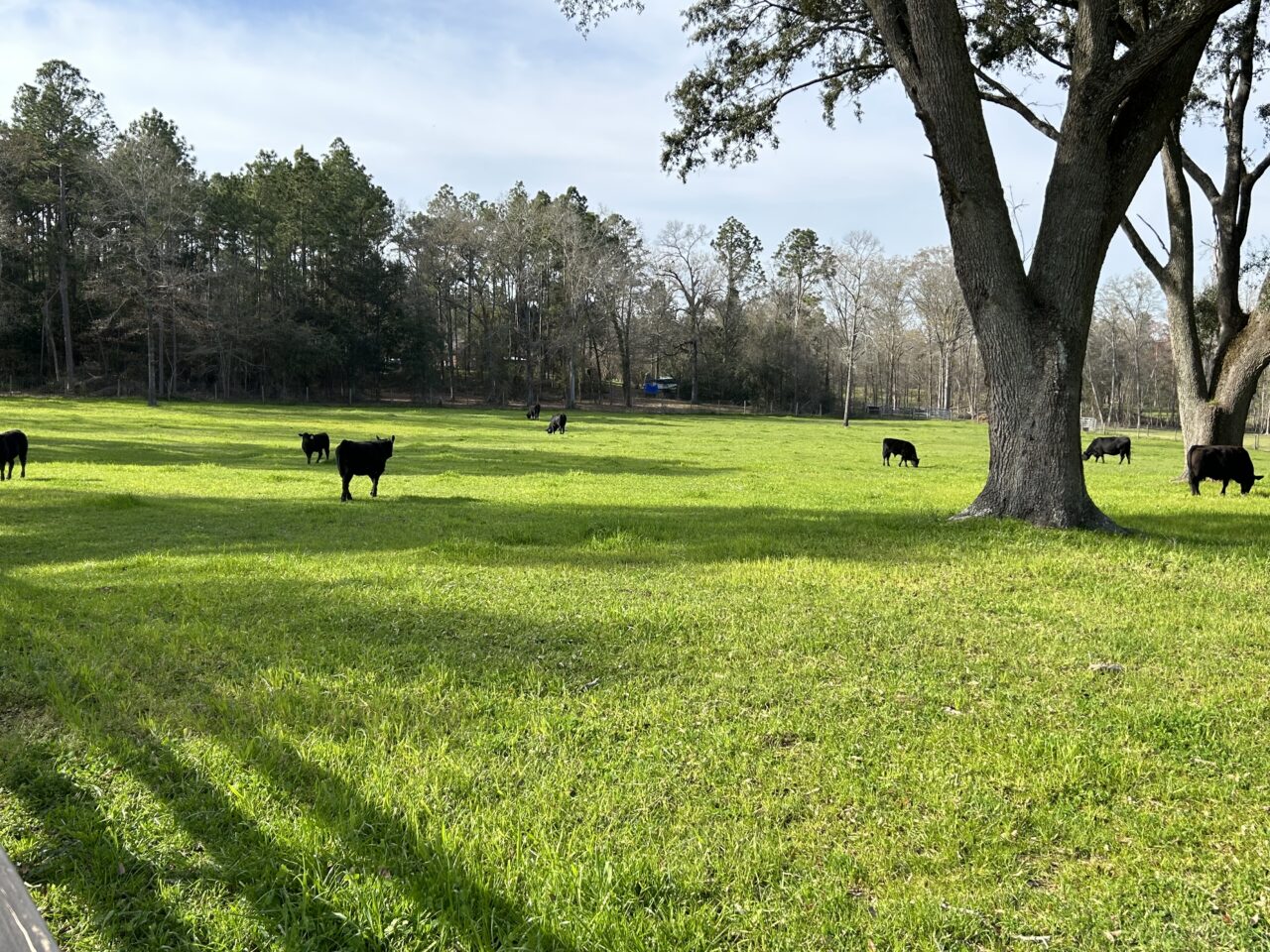 Visit the Farm | Miller Family Farms in Wray, GA